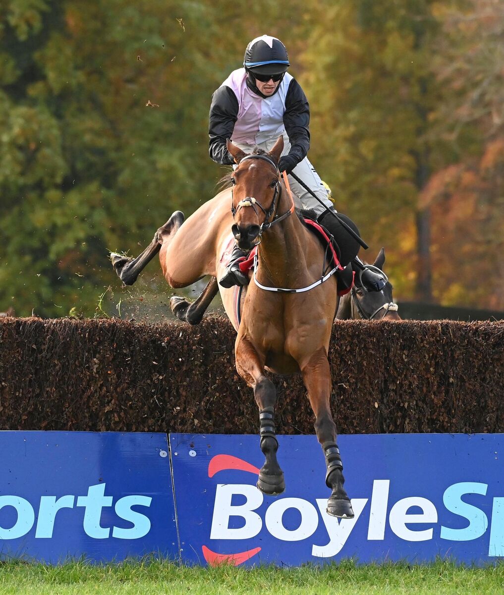 Bob Olinger makes perfect start to life over fences at Gowran Park