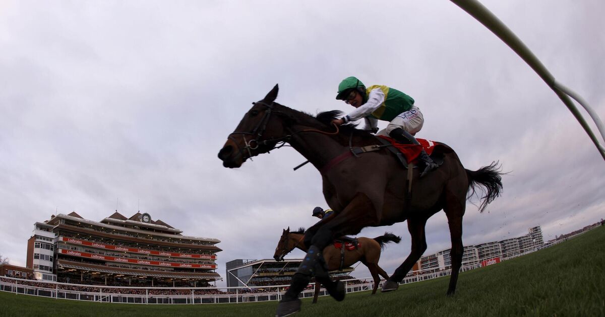 Cloudy Glen produces a 33-1 upset in the Ladbrokes Trophy