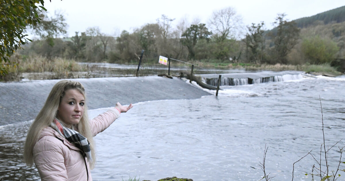 Restoring weir will bring valuable habitat to Cork public park