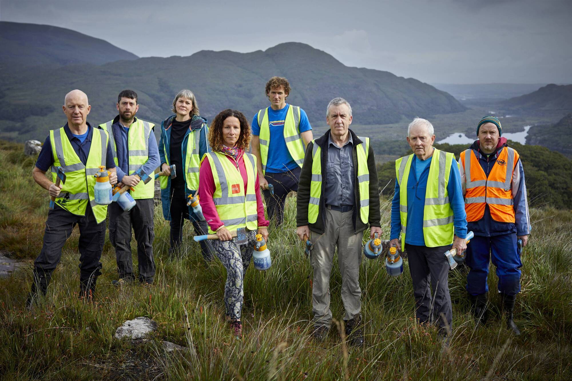 Kerry Rhododendron clearance costs surpass €2m
