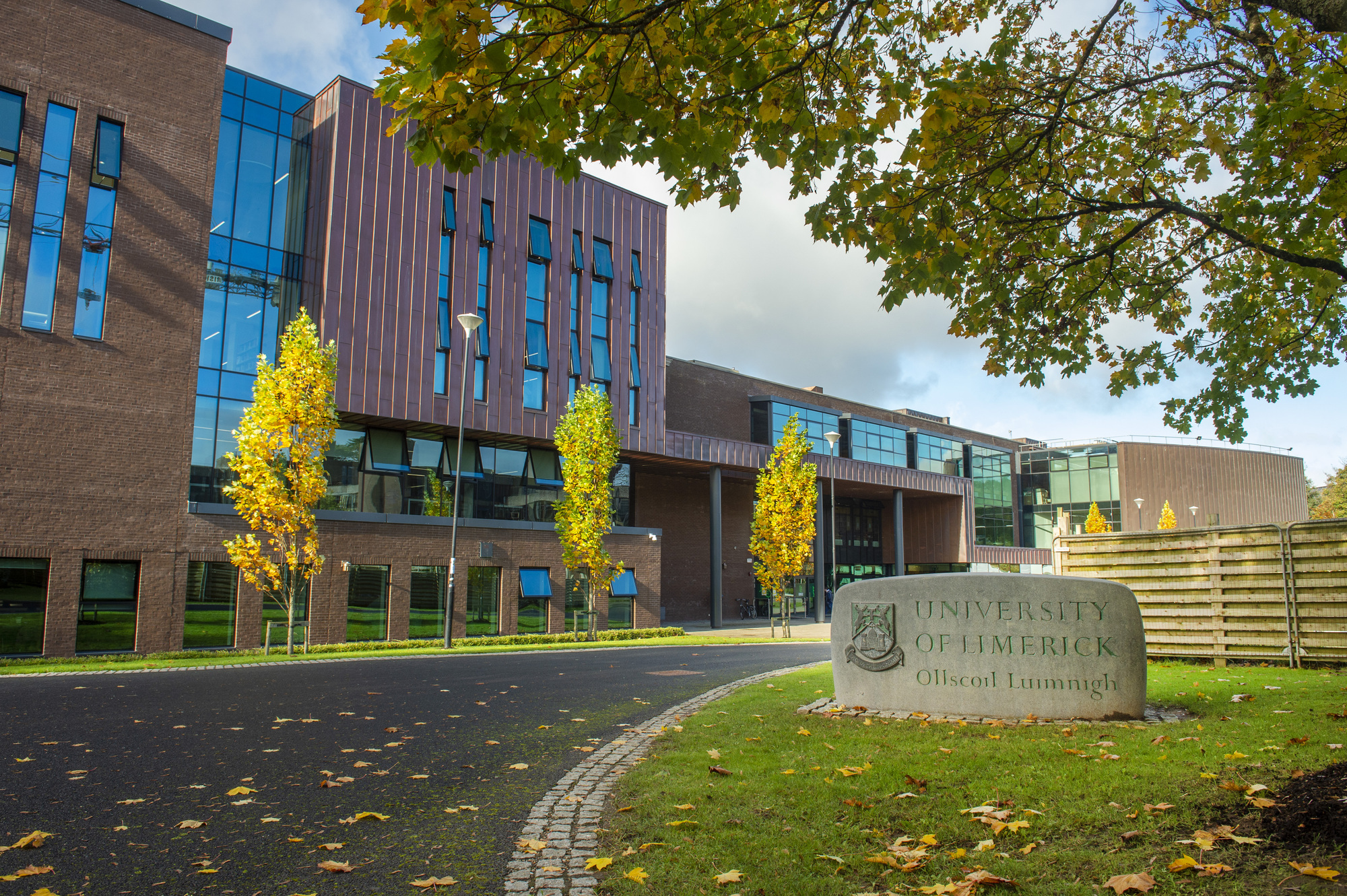 UL lecturer claims he didn’t secure tenure as college failed to ...