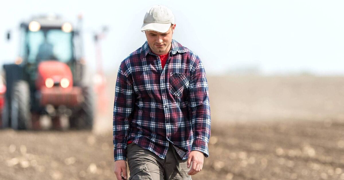 My uncle promised me the farm but didn't leave a will. What can I do?