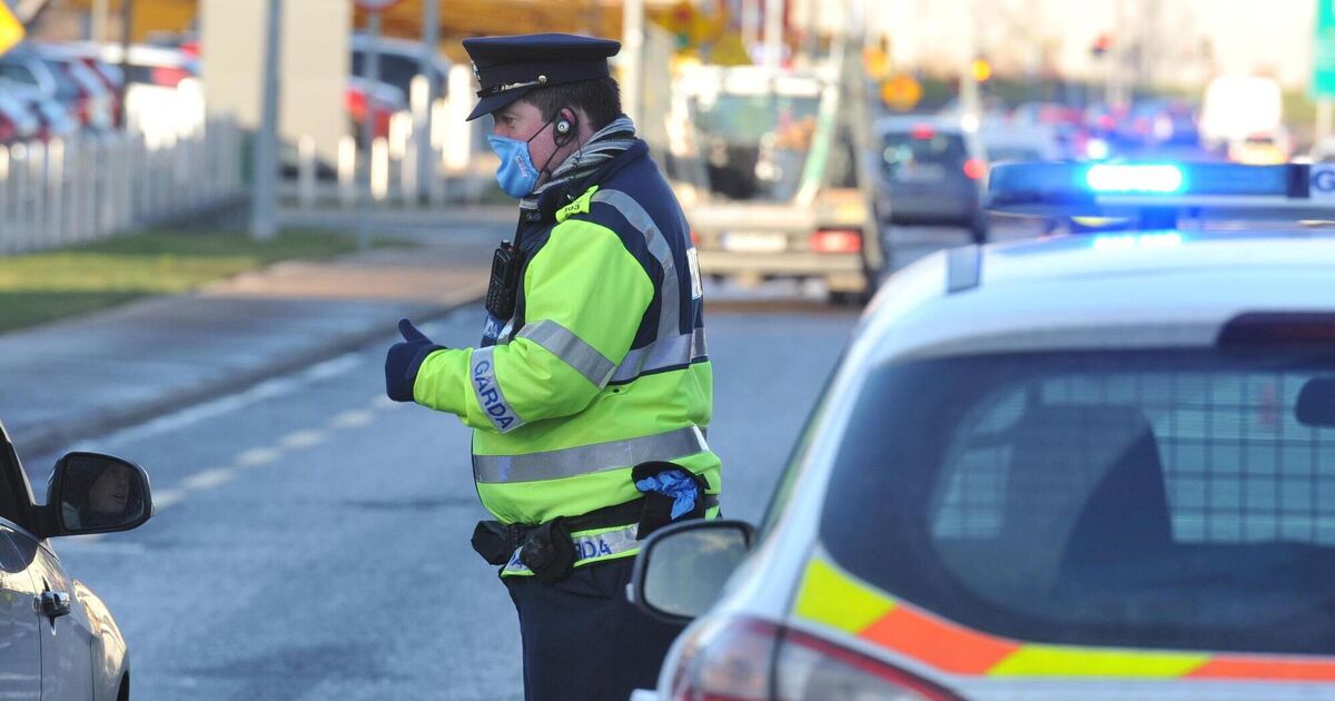 One in seven roadside drug tests returns positive, says Limerick garda