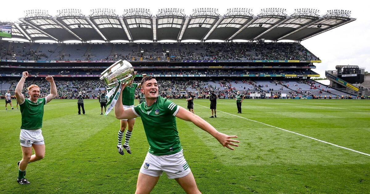 Anthony Daly: Despite Limerick’s dominance, we’re lucky in hurling to ...