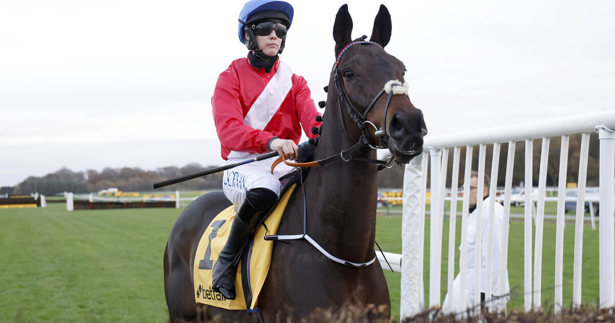 Leopardstown and Limerick tips: No need to oppose A Plus Tard in ...