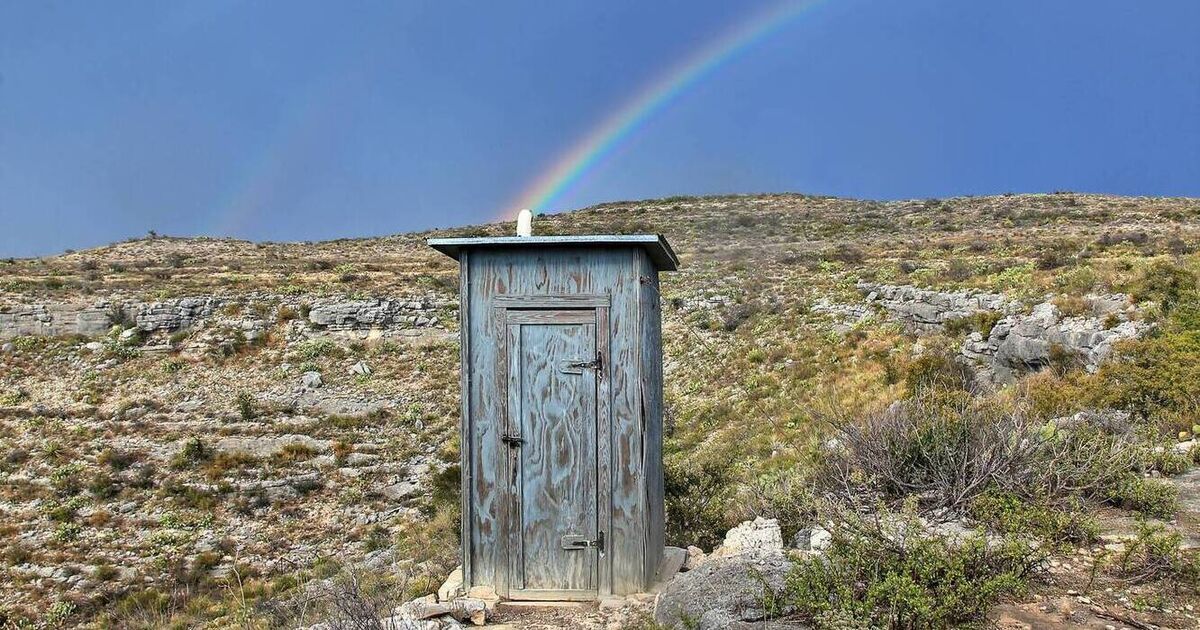 Super poo: the emerging science of stool transplants and designer gut ...