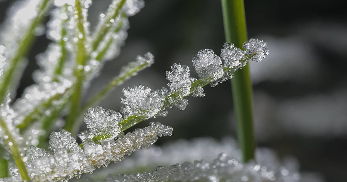 Icy stretches due as status yellow snow and ice warning issued for ...