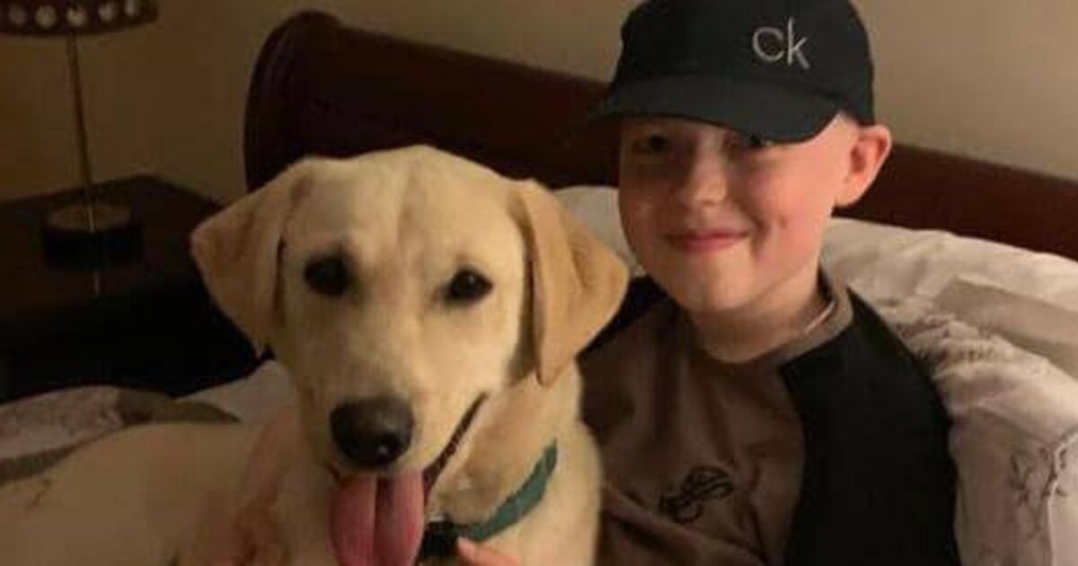 Continuing Cian's journey: Initiative will allow pets to visit sick ...