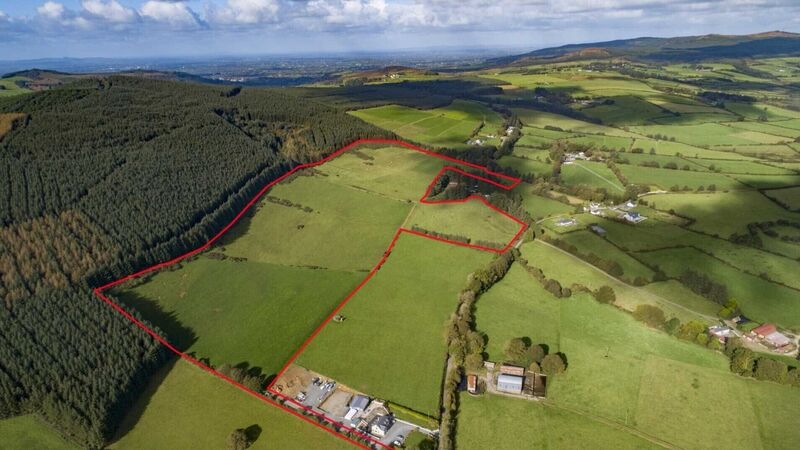 52 acres of Golden Vale land attracts range of interest