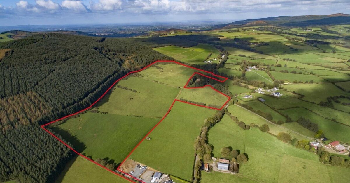 52 acres of Golden Vale land attracts range of interest