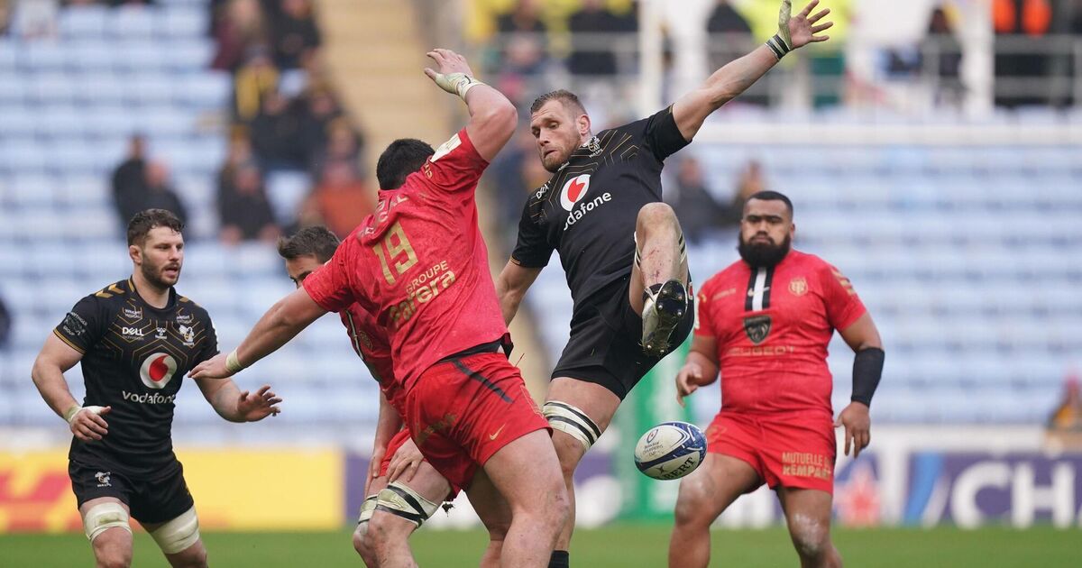 Jacob Umaga sees red but Wasps claim stirring win over Heineken Cup ...