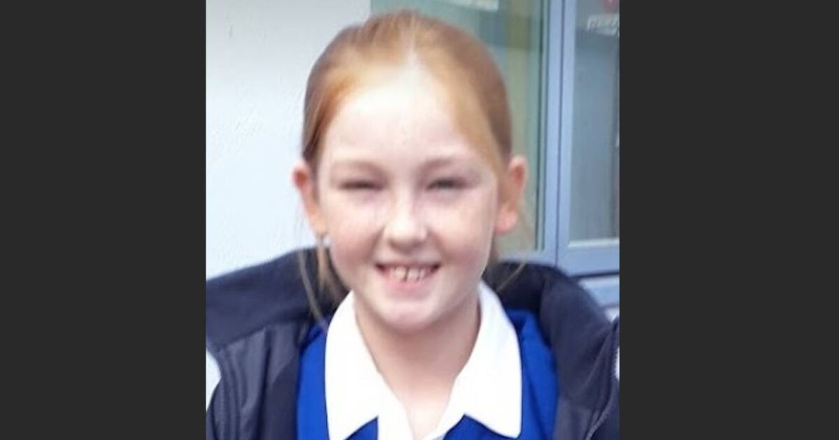 Gardaí concerned for welfare of missing girl in Dublin