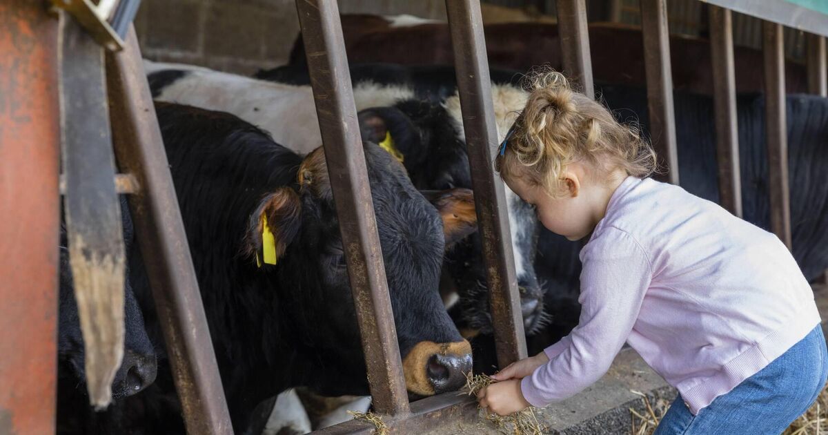 Farm succession: How do you decide if a farm inheritance is a blessing ...