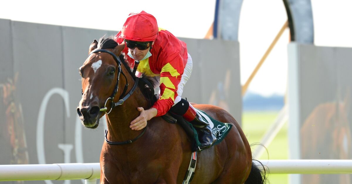 Dundalk tips: Silk Damask can turn tables on Kadinnka