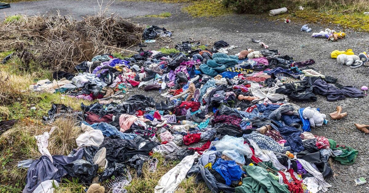 People don't report environmental crimes for fear of upsetting ...