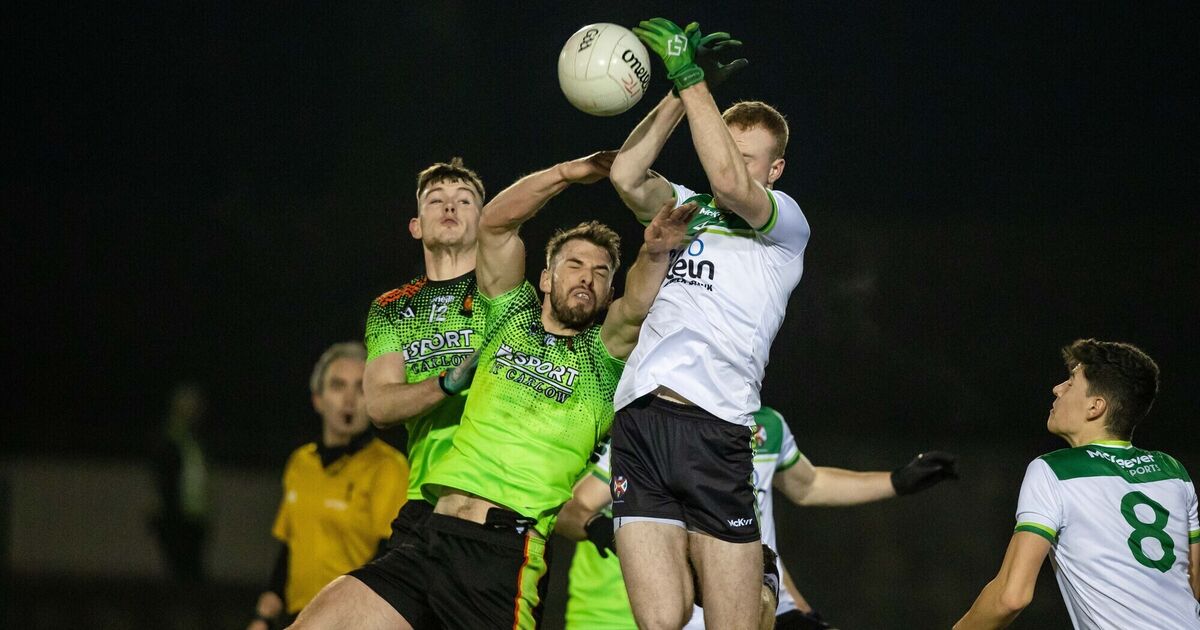 Conor Turbitt stars as Queen's University knock IT Carlow out of ...