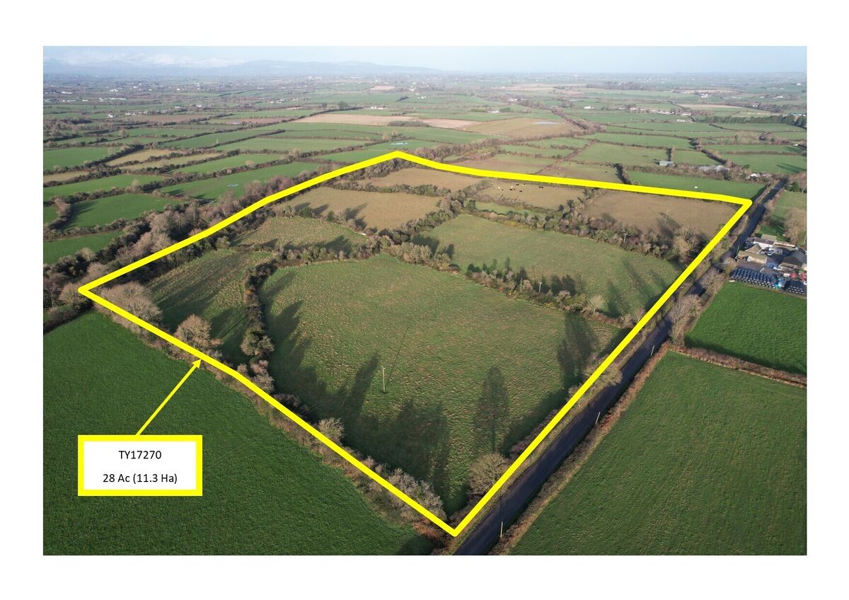South Tipp farm up for auction attracts strong interest