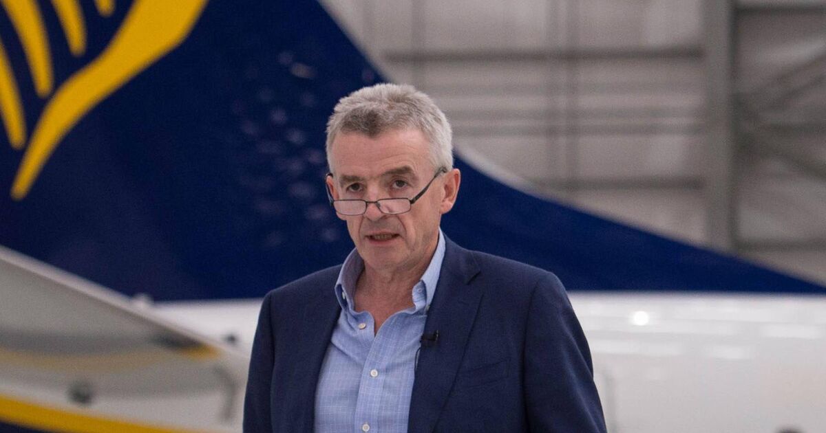 Bounce for Ryanair and Aer Lingus-owner shares shows airline recovery ...