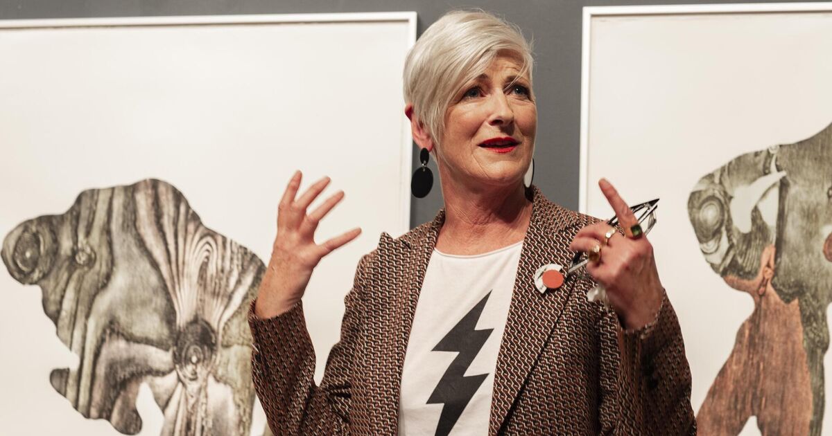 Cork In 50 Artworks, No 40: Cell, by Alice Maher, at Kilmainham Gaol