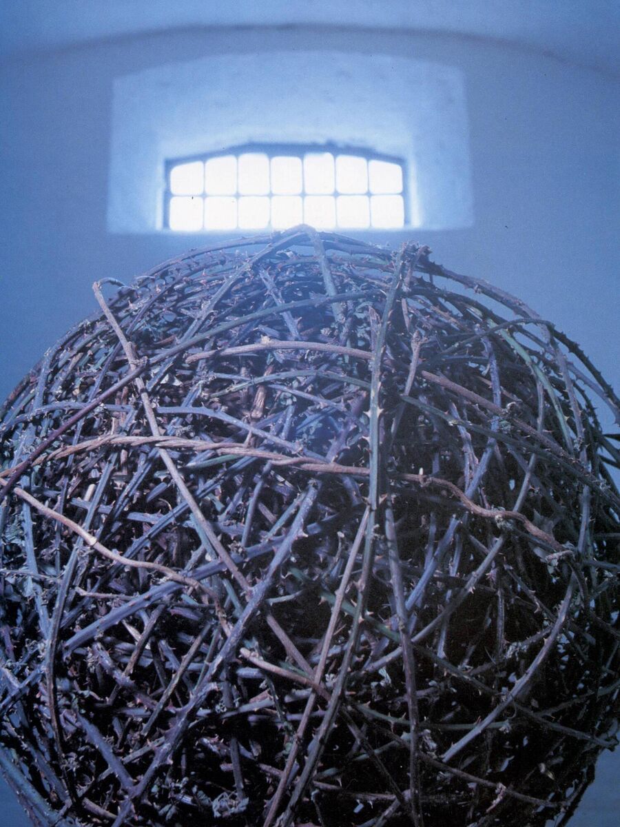 Cork In 50 Artworks, No 40: Cell, by Alice Maher, at Kilmainham Gaol