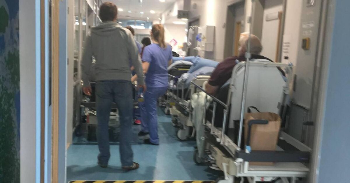 Letters to the Editor: Disgraceful treatment of terminally ill 86-year-old
