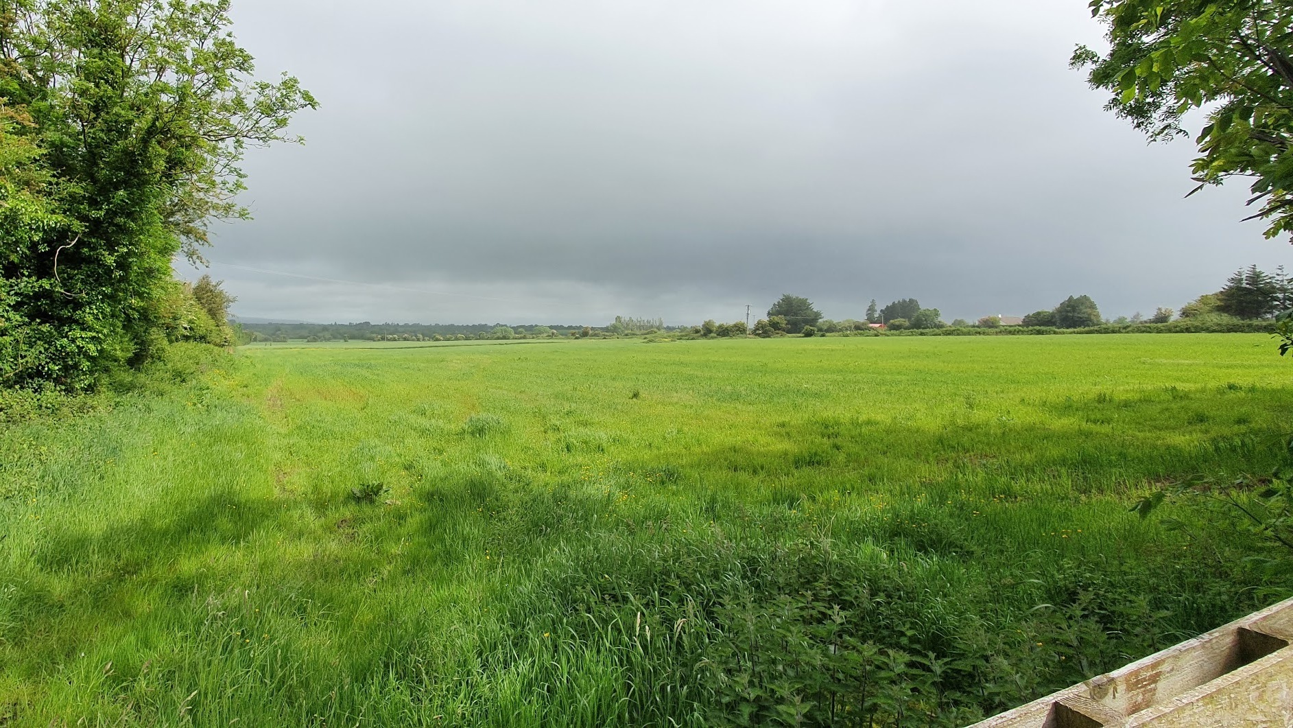 Rare 13-acre parcel in South Tipp