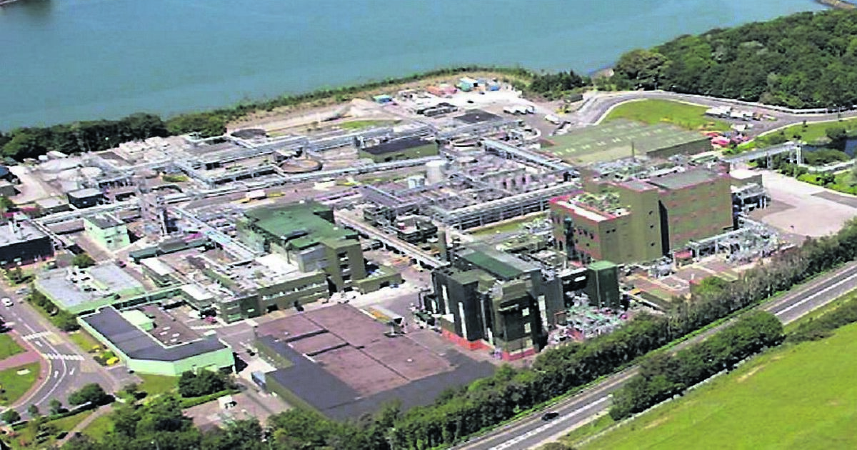 Cork delivers for US business, says Pfizer and AmCham leader