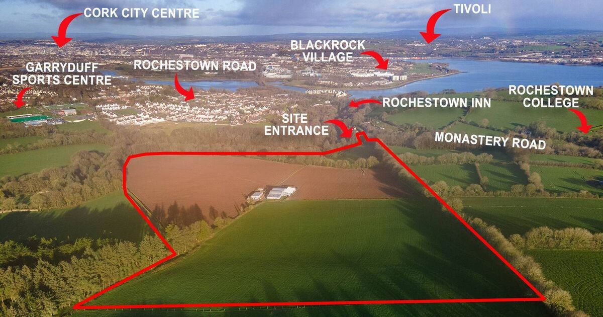 Calling all money-bags: Rochestown land is so good no farmers need apply