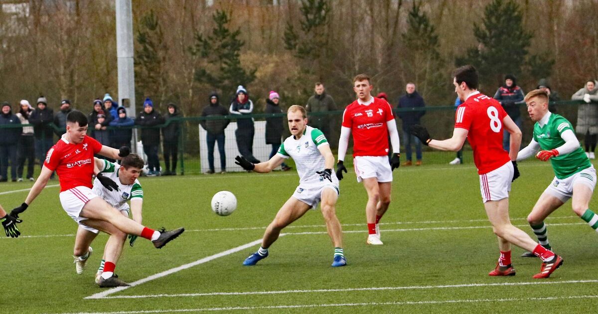 Harte thrilled after late Louth rally ends Limerick's 100% start