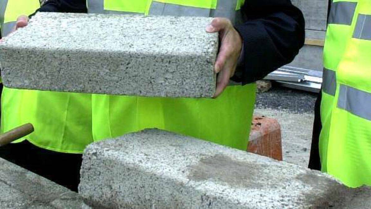 Local authority bought five houses it knew had mica