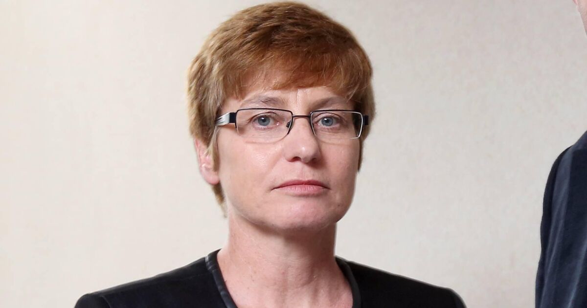 Prison inspector left position 'due to attempts to undermine her office'