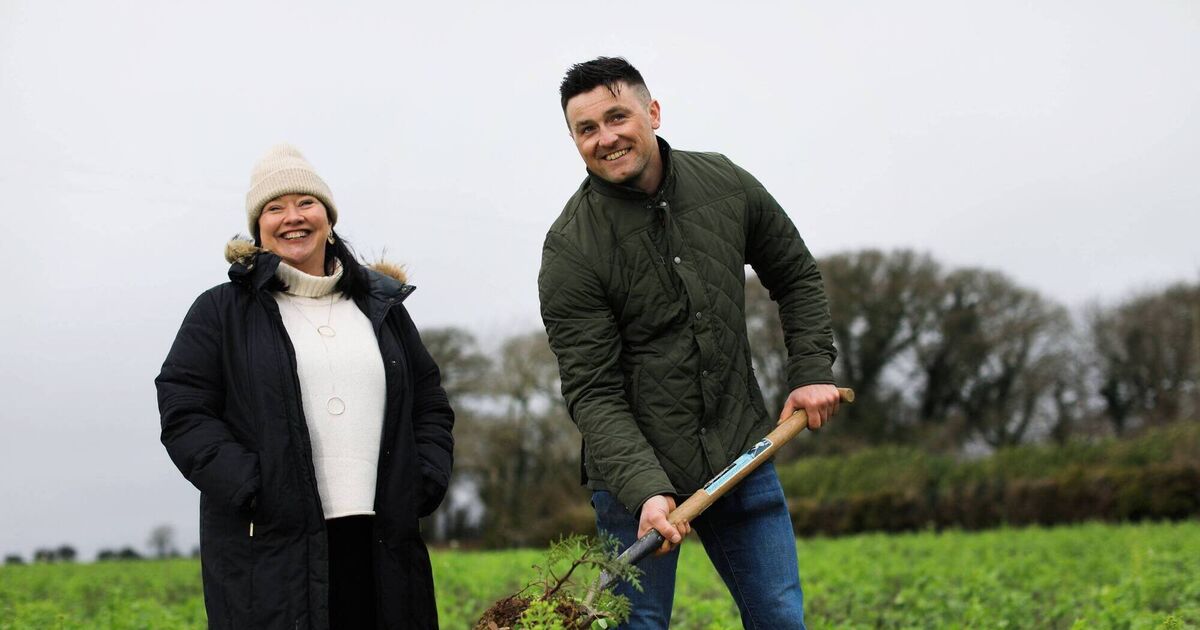 Guinness launches agriculture programme to cut carbon footprint of pints