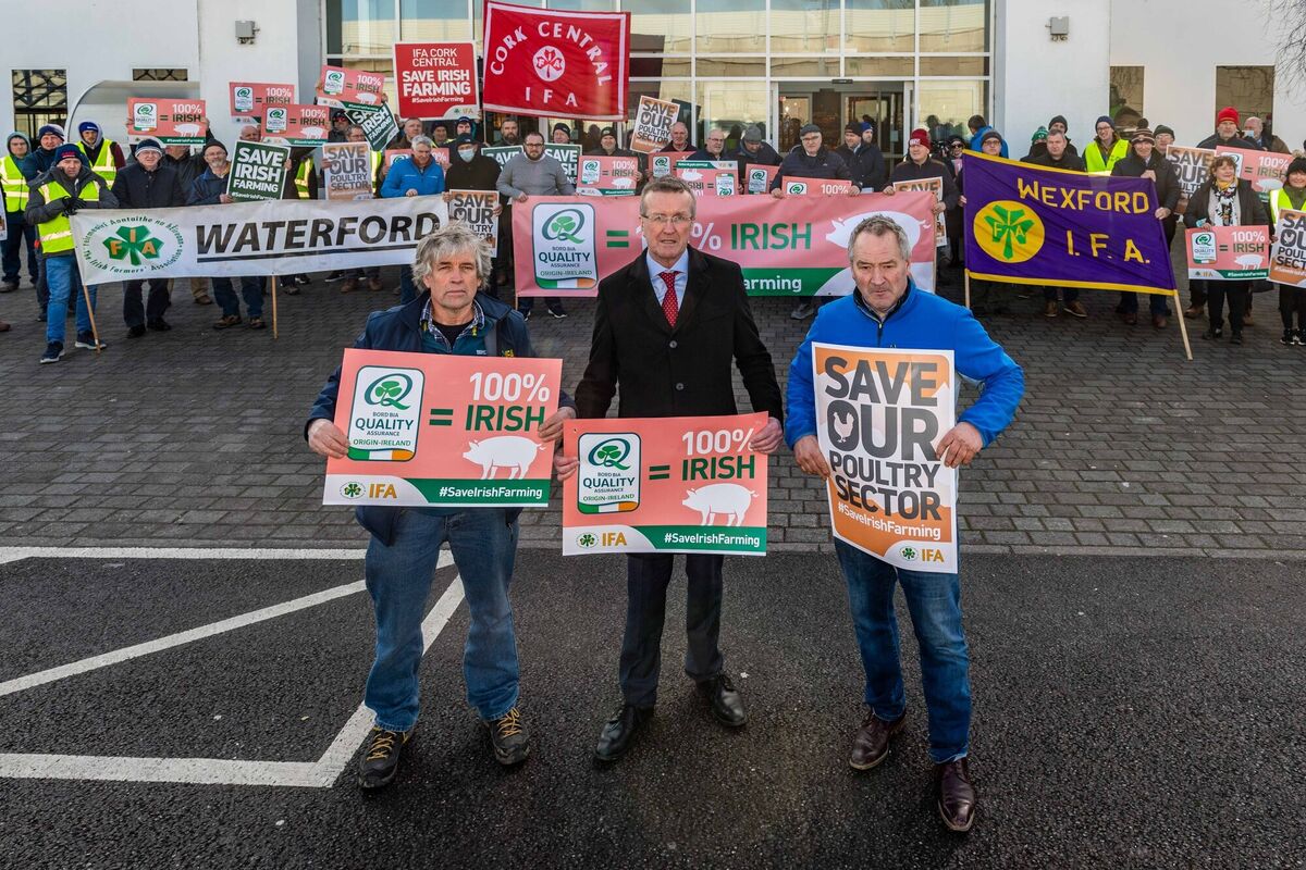 Farmer protests highlight the global pressures in the food and ...