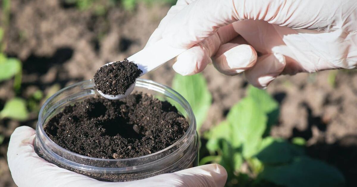 Steps you can take to reduce fertiliser costs