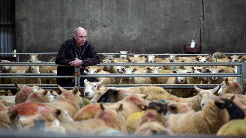 How making better use of grass on this Kerry farm is helping the ...