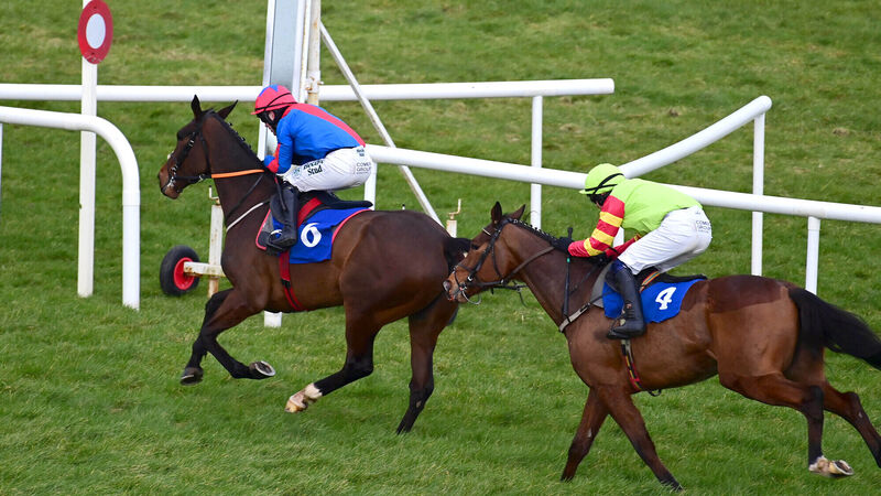 Thurles report: The Goffer delivers for Jordan Gainford