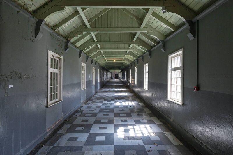 Book review: A fascinating study of the architecture of insanity in ...