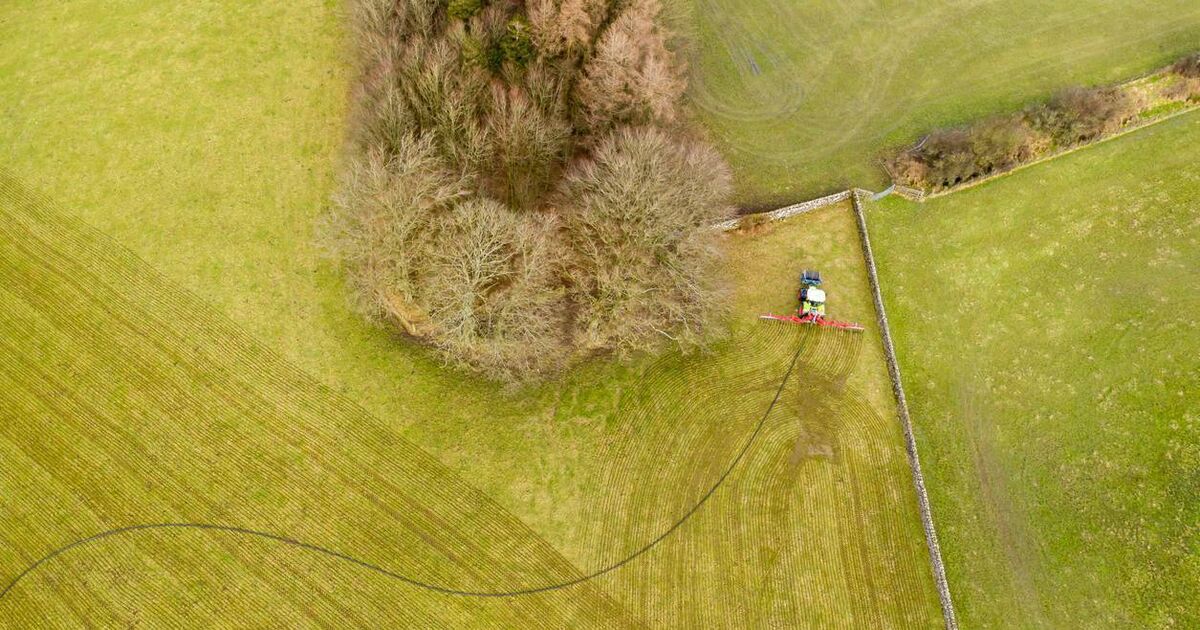 Eight tips to make the most of your slurry this season