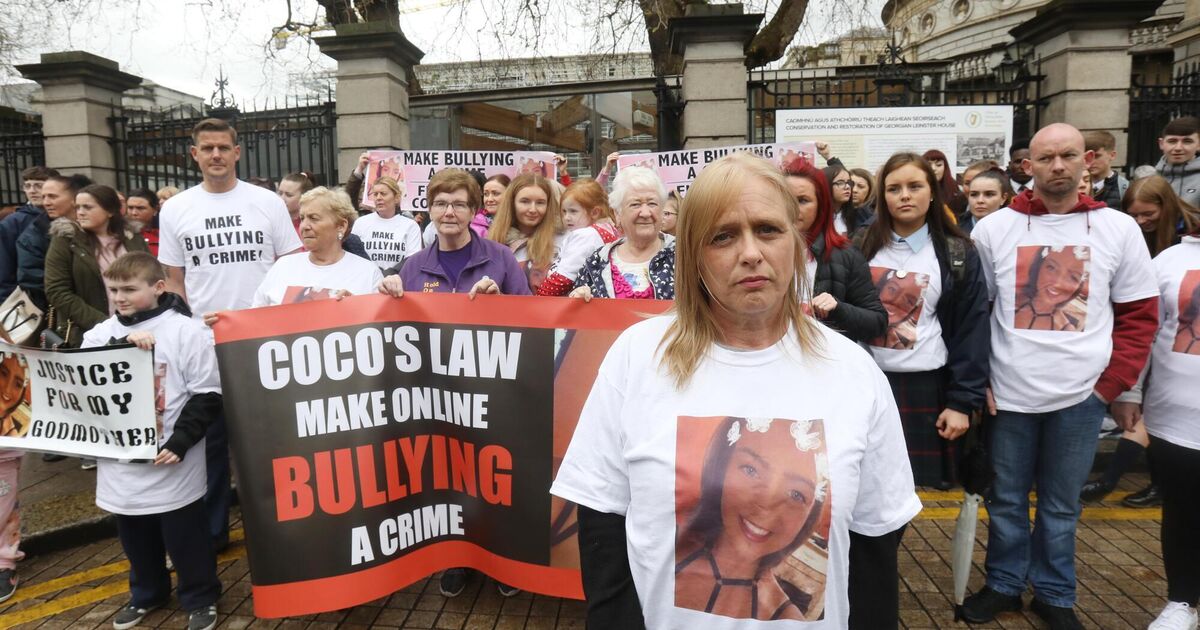 Coco's Law: 'a number of prosecutions' expected under landmark legislation
