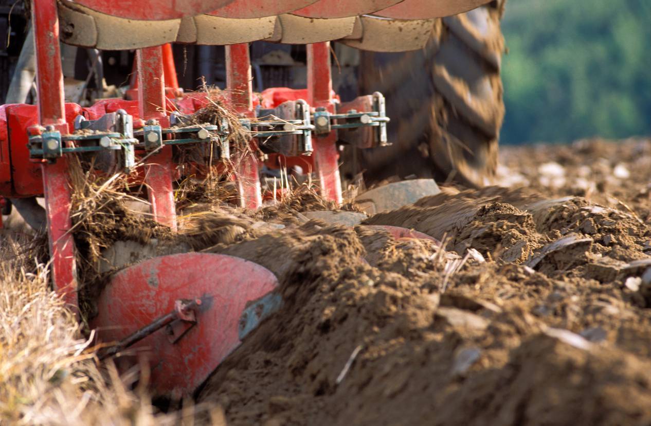 Farm Finance: Asking all farmers to grow crops is akin to asking an ...