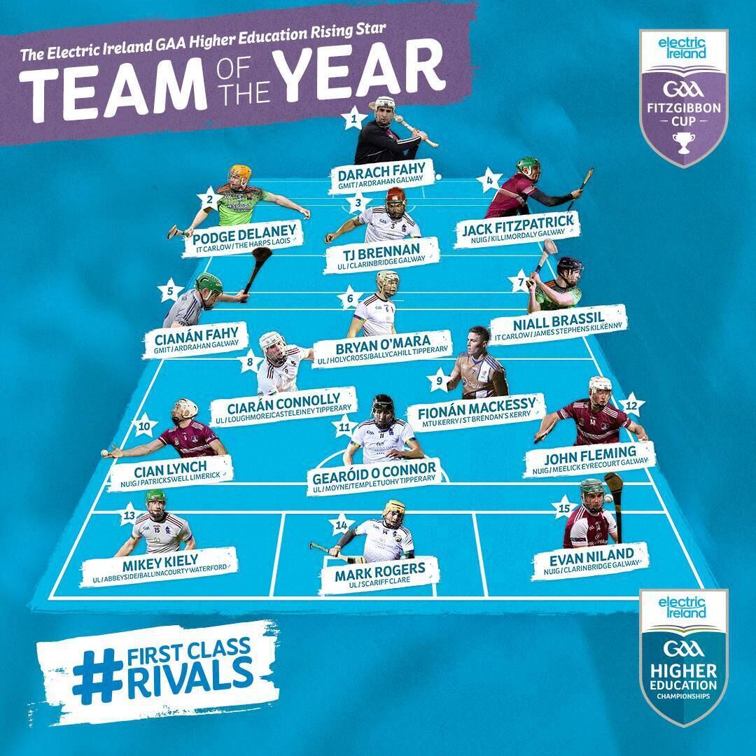 Fitzgibbon champions UL claim six spots on Higher Education hurling ...