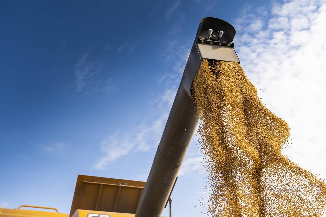 Brian Reidy: Self-sufficiency has never been so crucial