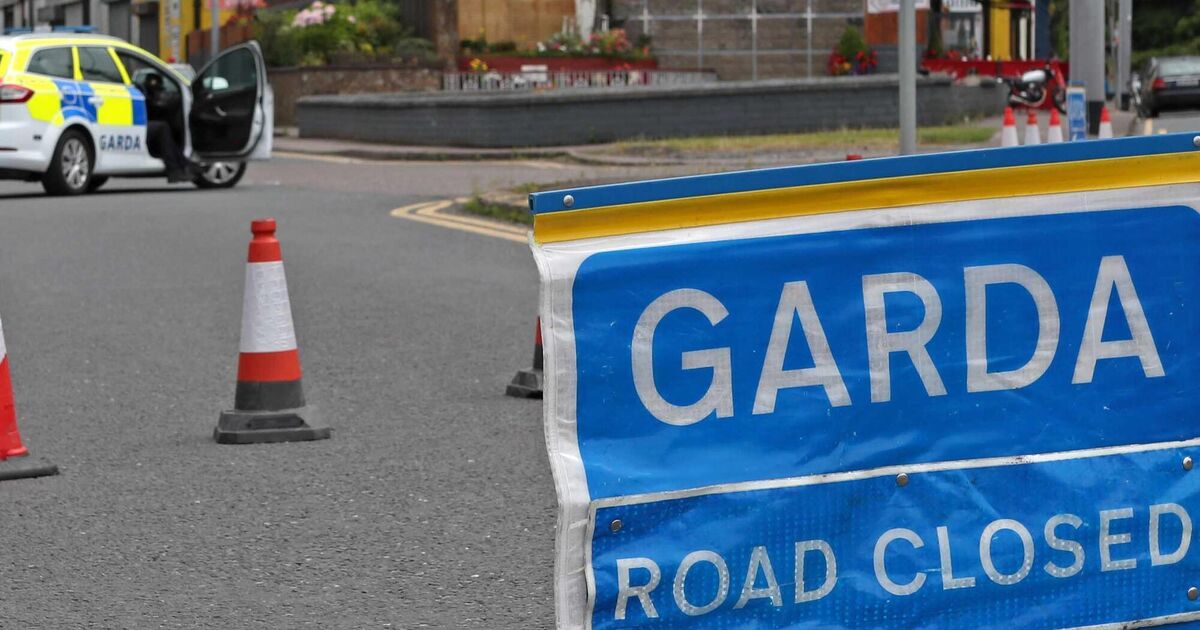 Witness appeal after motorcyclist, 30s, dies in Shannon collision