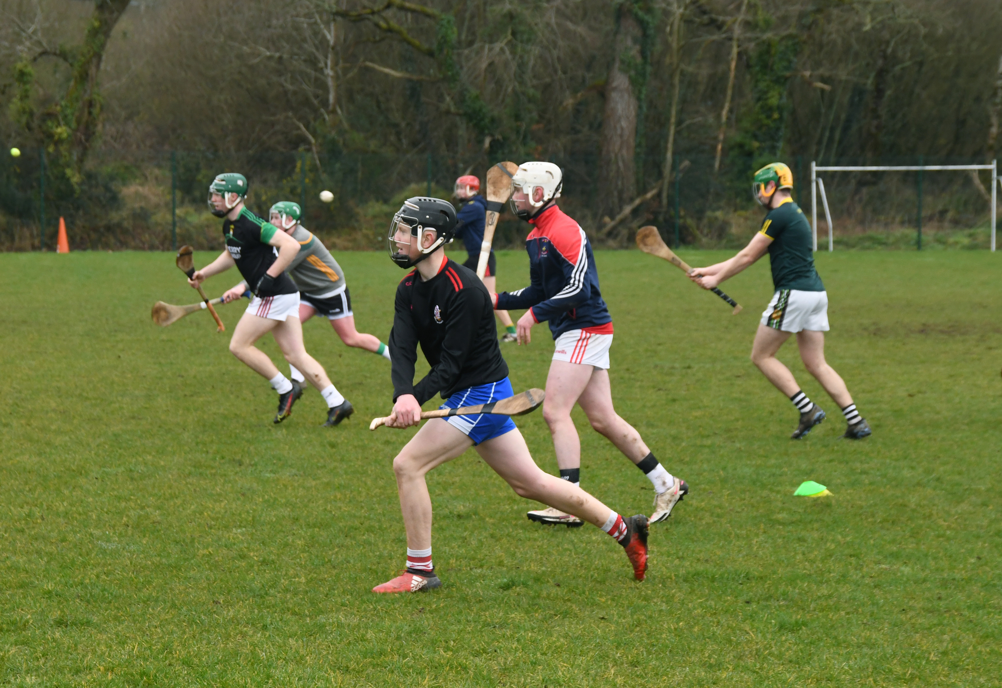 Alan Cadogan's Rochestown can harvest decade of hurling work