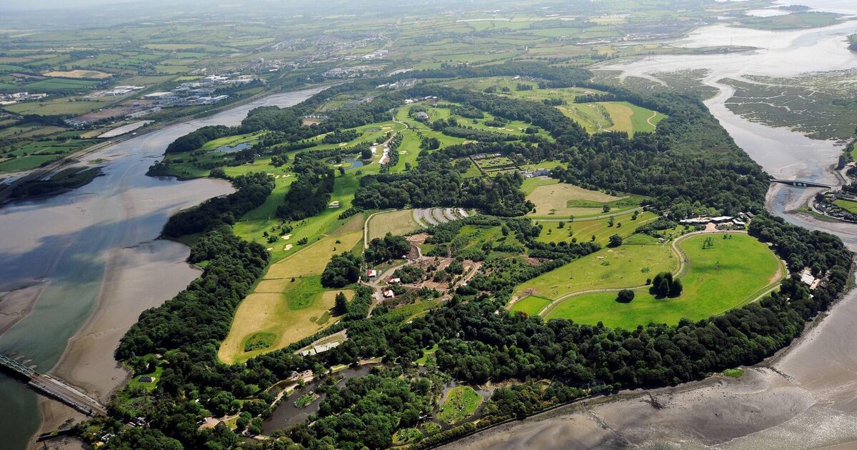 Islands of Ireland: There's 5,000 years of wild history to be found on ...