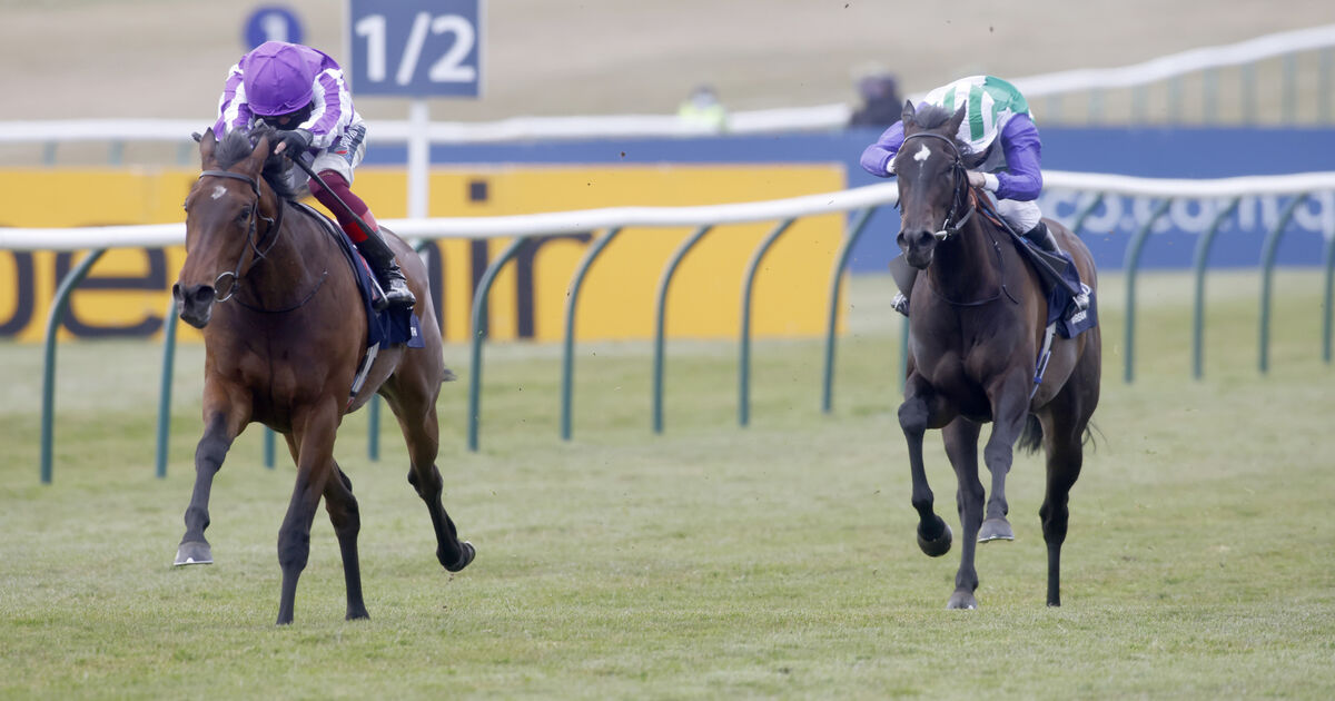 Irish racing tips: Toy and Mother Earth can make winning returns