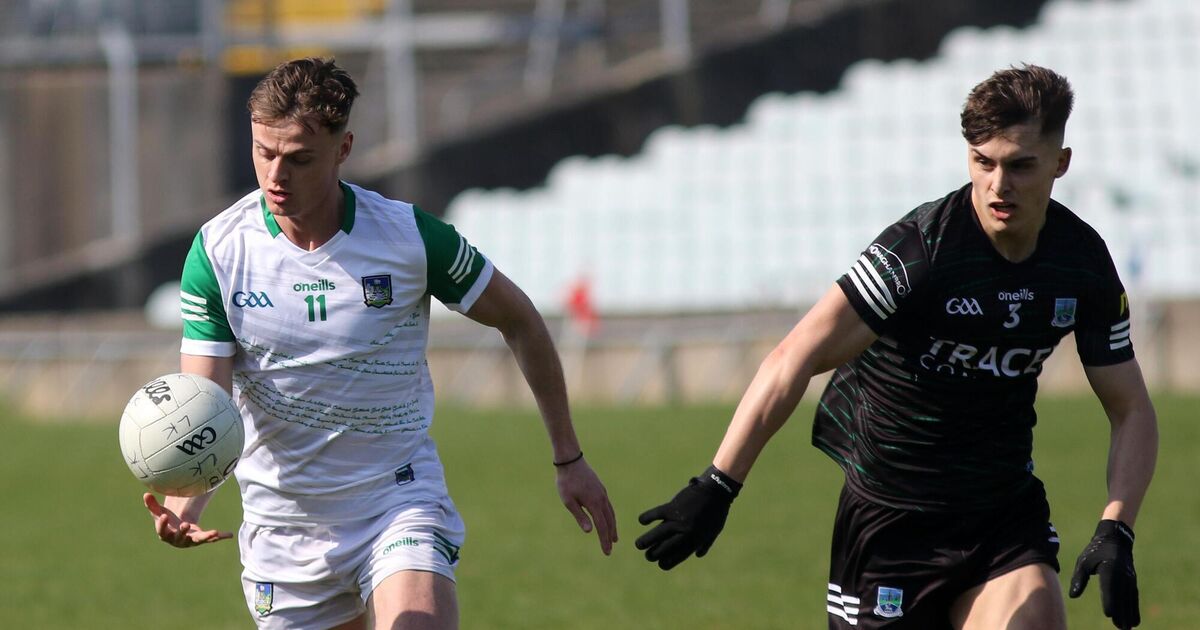 Josh Ryan leads Limerick to Division 2 for the first time since 2007