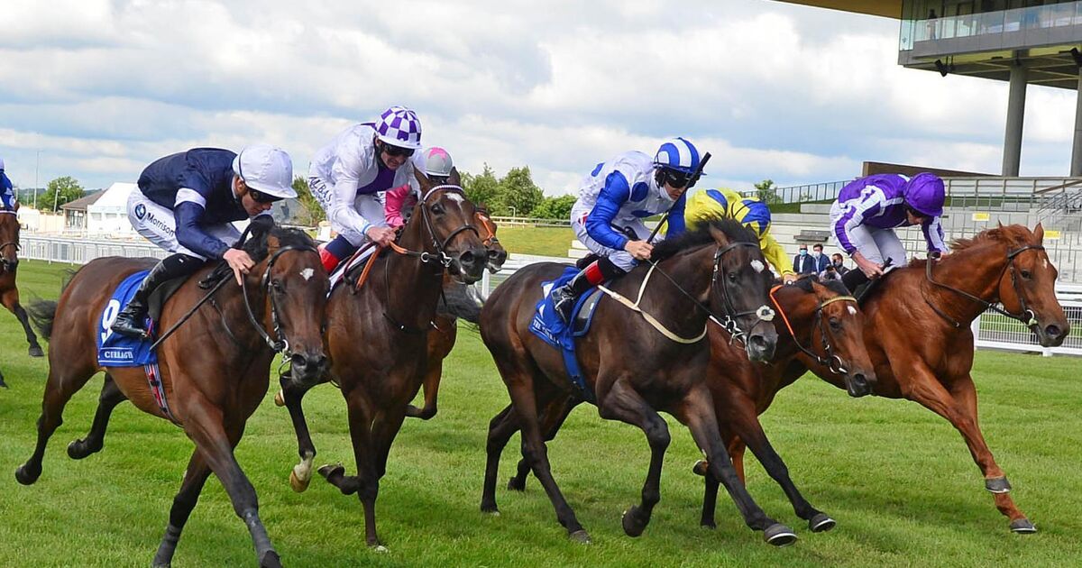 Irish Racing tips: Supagirl set for breakthrough performance