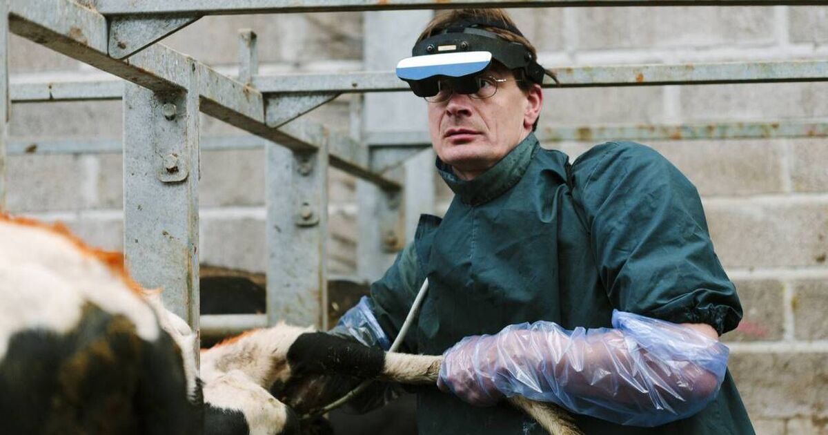 Brian Reidy: A critical time for herd fertility