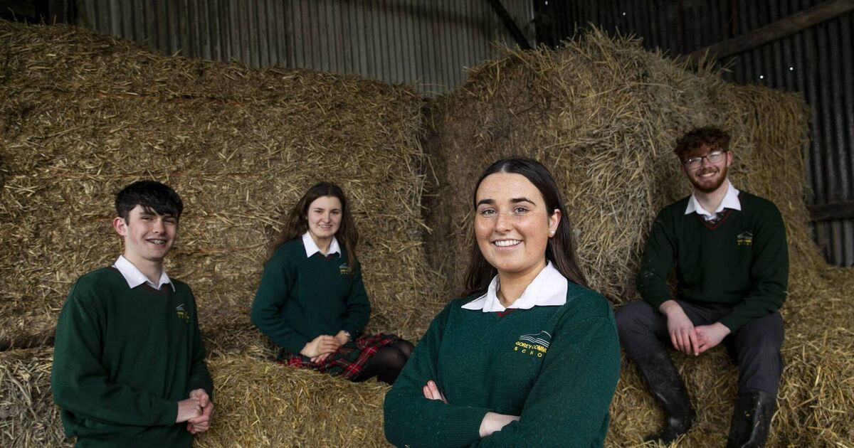 Angus Schools' competition winners announced